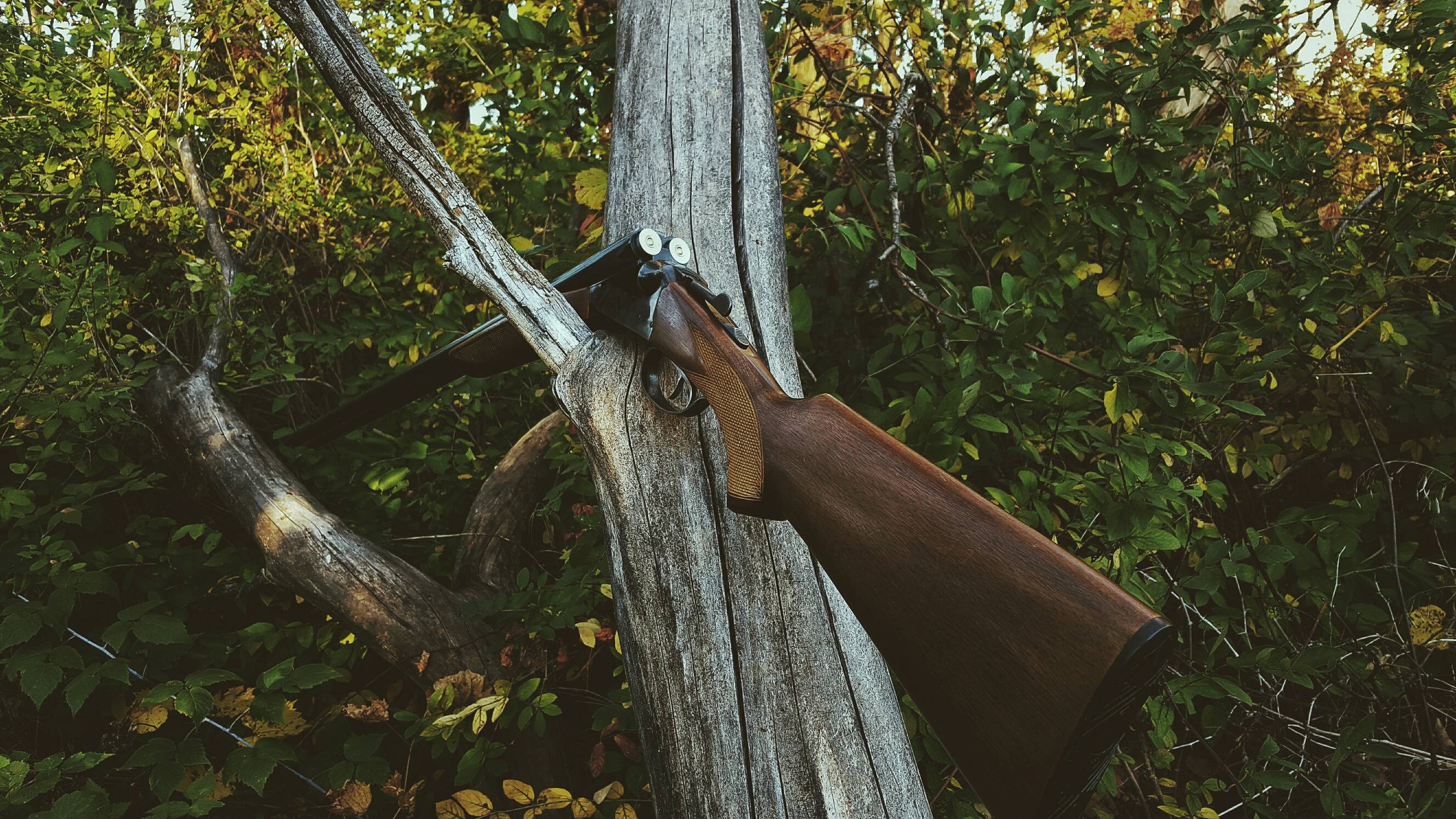 Index of /files/weapons/Shotguns/